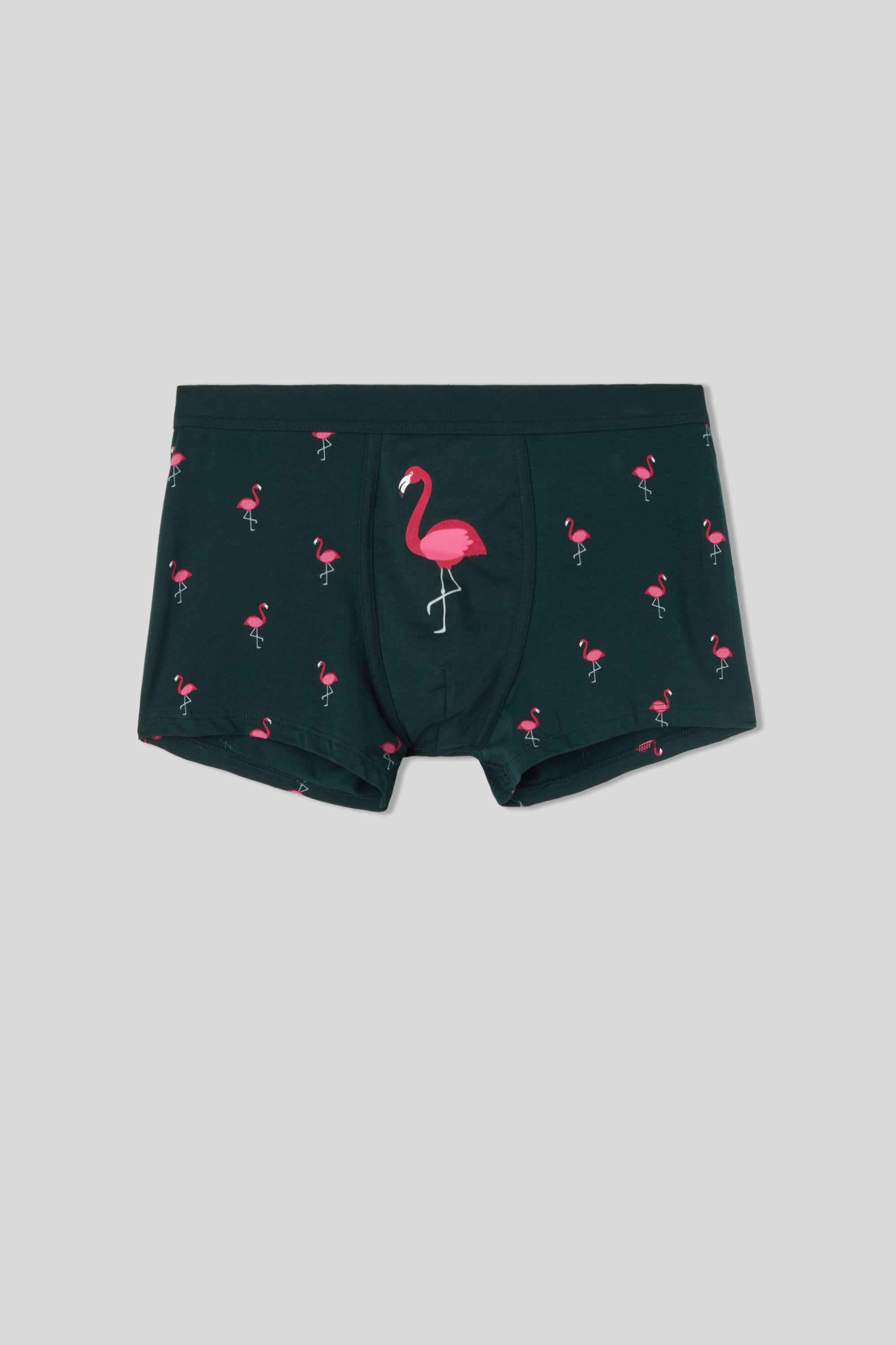 Boxer Fenicotteri in Cotone Natural Fresh | Intimissimi