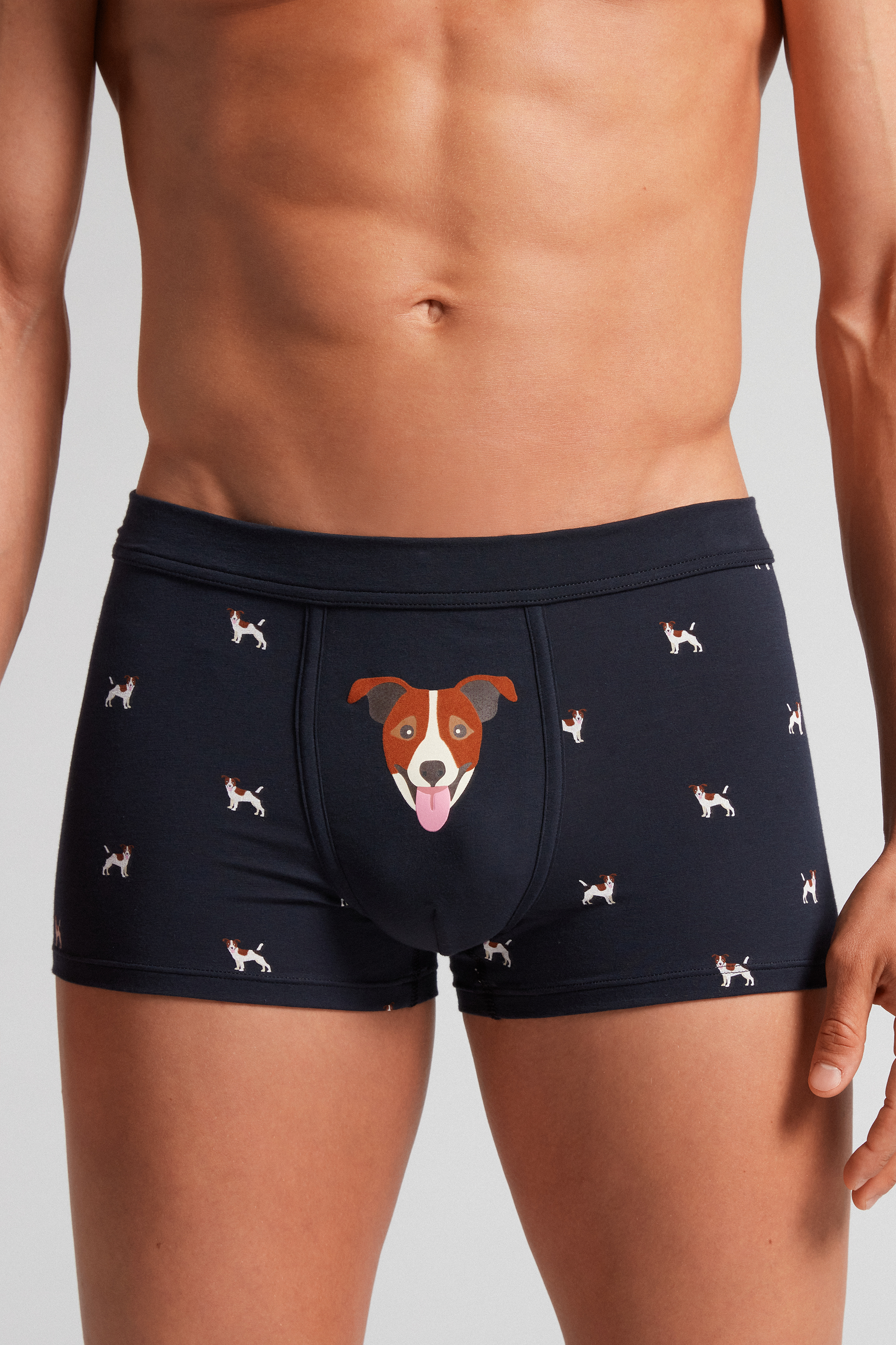 Natural Fresh Supima® Jack Russell Cotton Boxers | Intimissimi